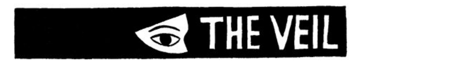 Literary Analysis: Structure – Graphic Memoir Persepolis